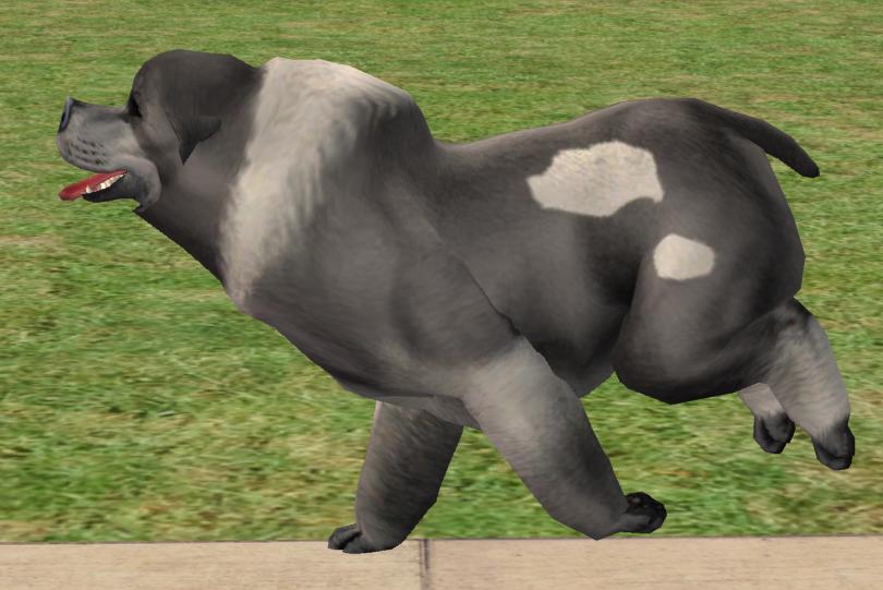 Mod The Sims - The Pig-Dog