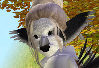 Mod The Sims - Brave Birds :: AMON - Beautiful Adult Female Bird Sim