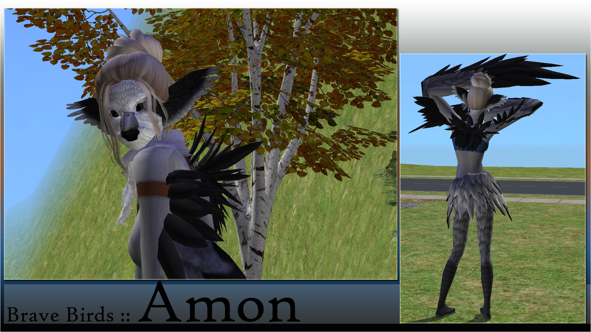 Mod The Sims - Brave Birds :: AMON - Beautiful Adult Female Bird Sim