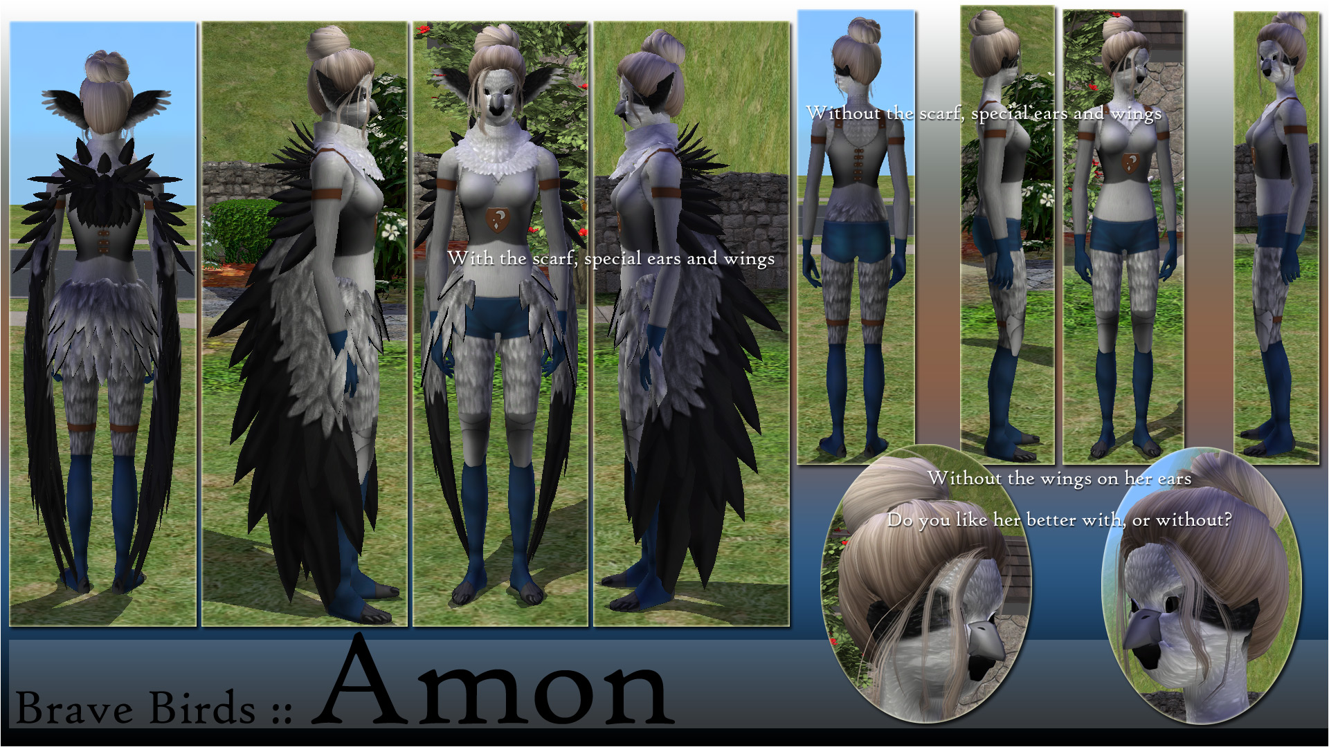 Mod The Sims - Brave Birds :: AMON - Beautiful Bird Sim