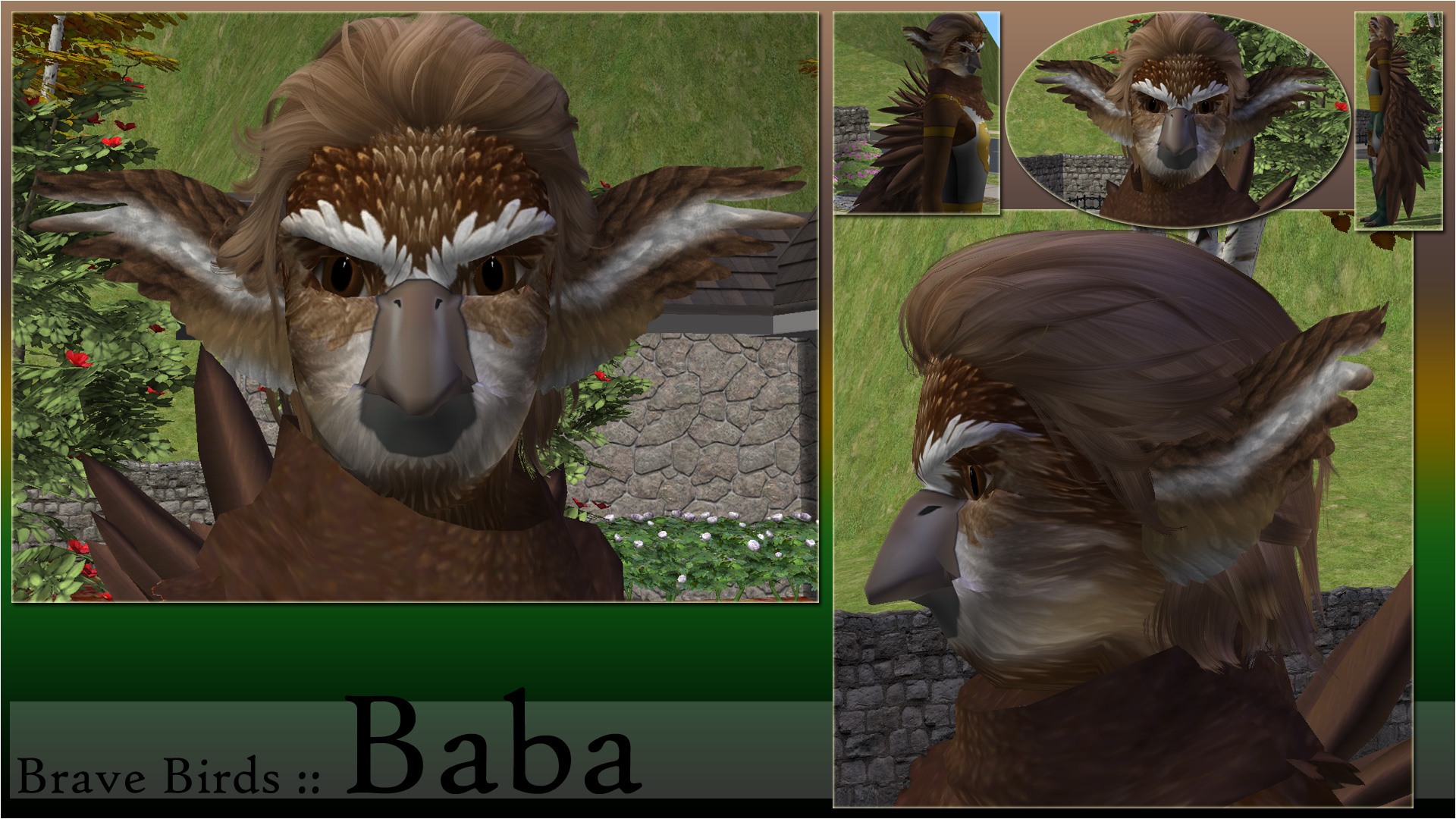 Mod The Sims - Brave Birds :: BABA - Wise Bird Sim