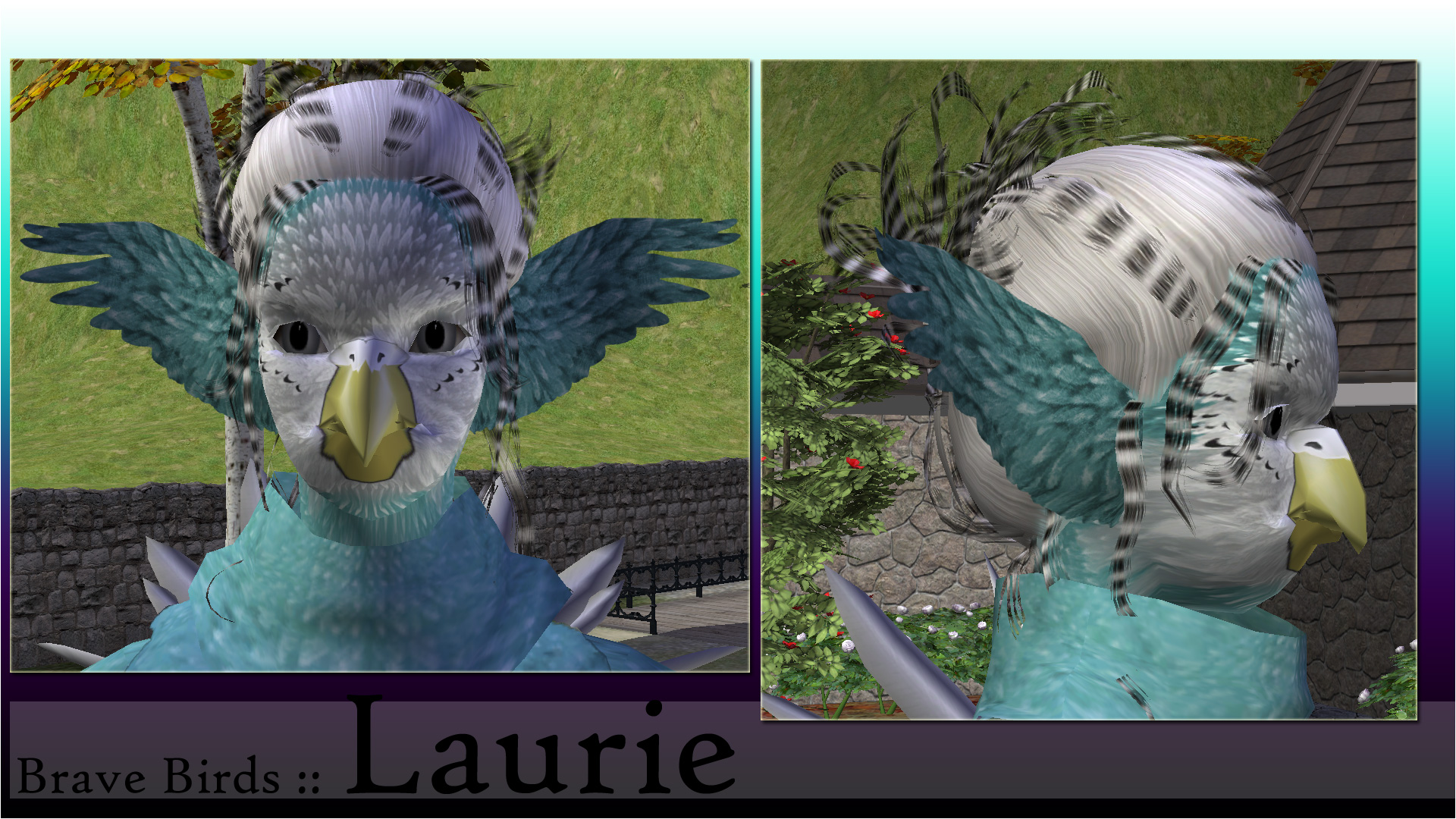 Mod The Sims - Brave Birds :: LAURIE - Cute Bird Sim