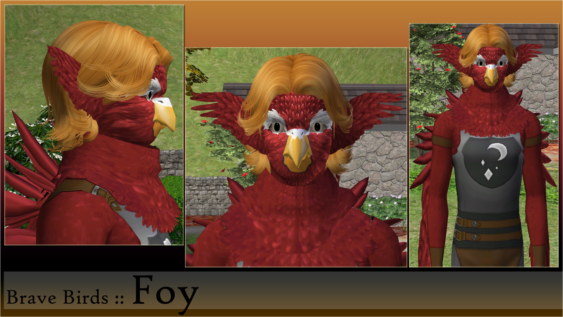 Mod The Sims - Brave Birds :: FOY - Cool Bird Sim