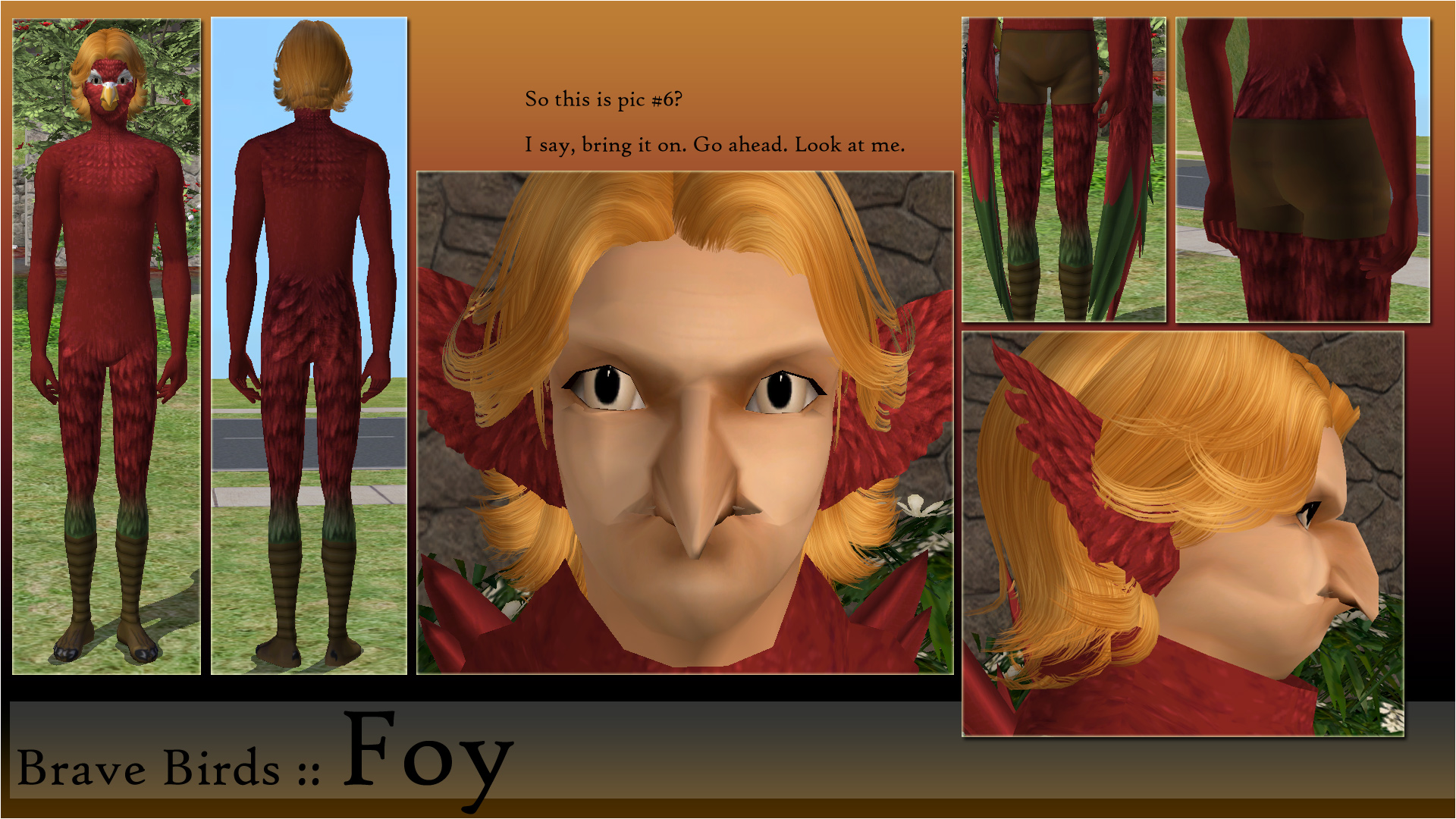 Mod The Sims - Brave Birds :: FOY - Cool Bird Sim