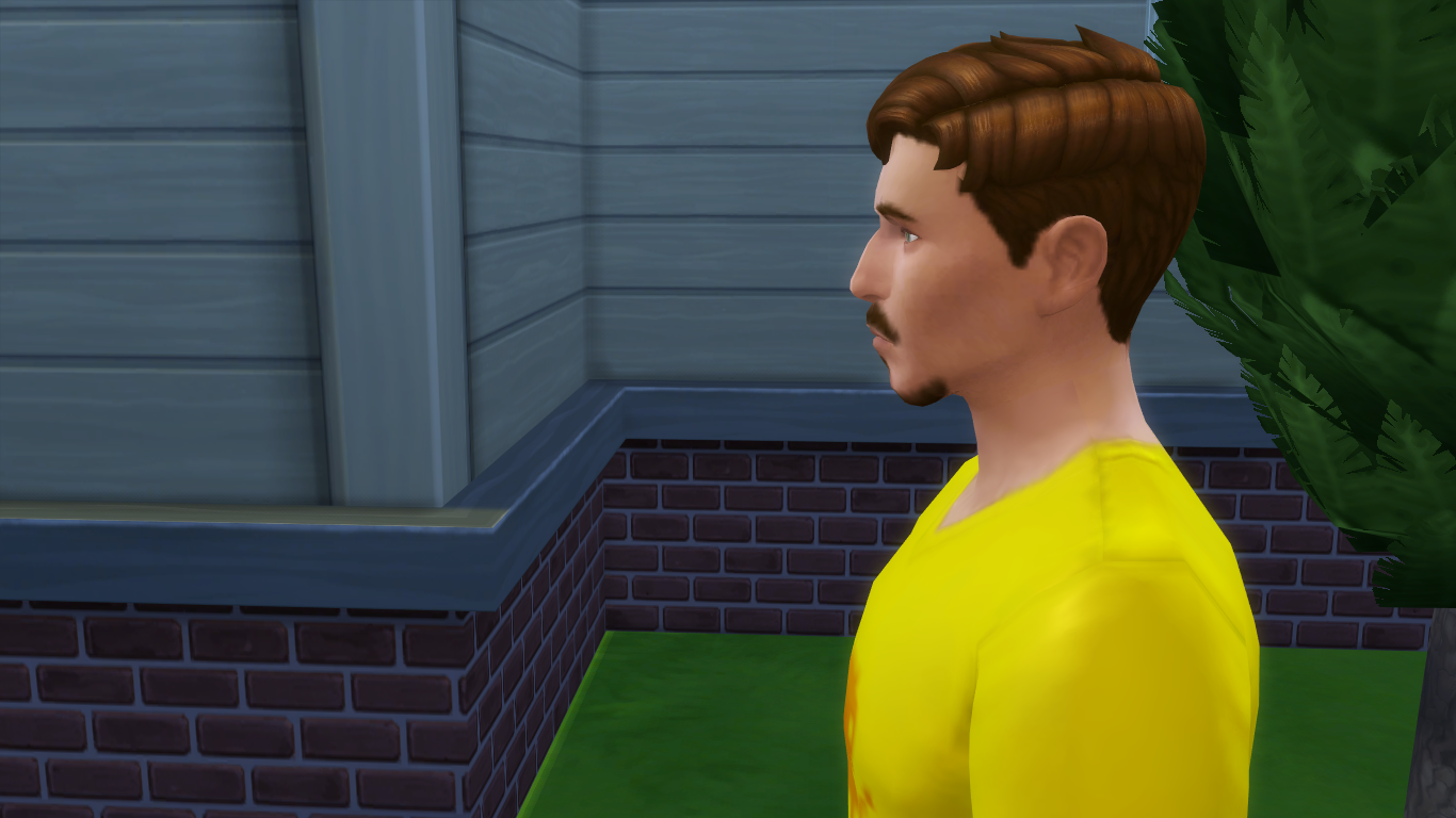 Mod The Sims - The Petterson family | NO CC