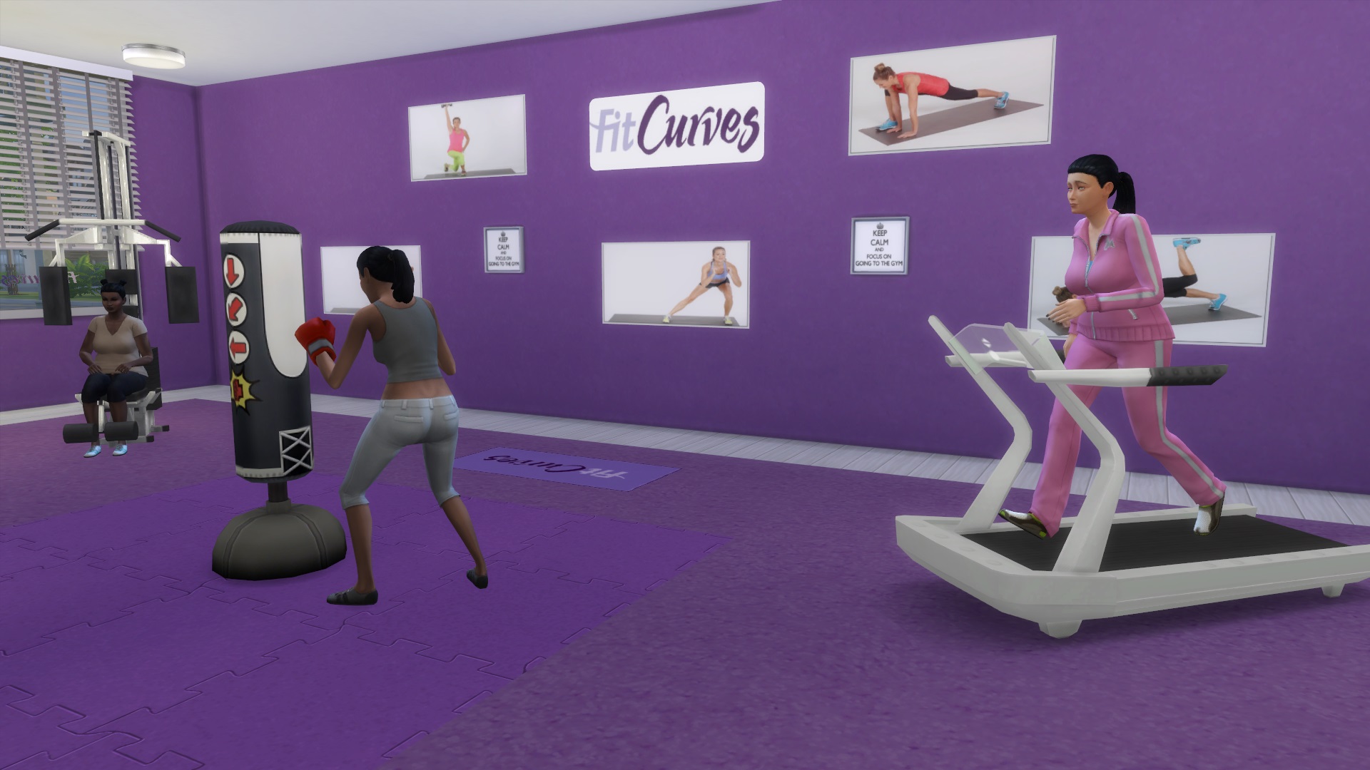 Mod The Sims - The Gym - FitCurves
