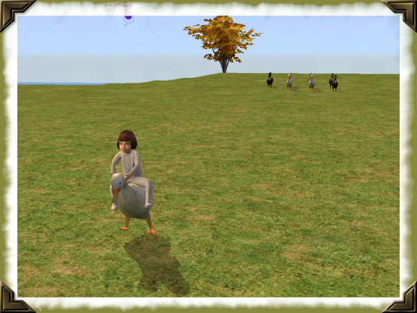 Mod The Sims - Rideable Duck - Requested