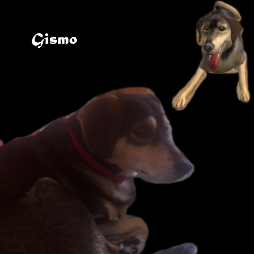 Mod The Sims - My dog: Gismo