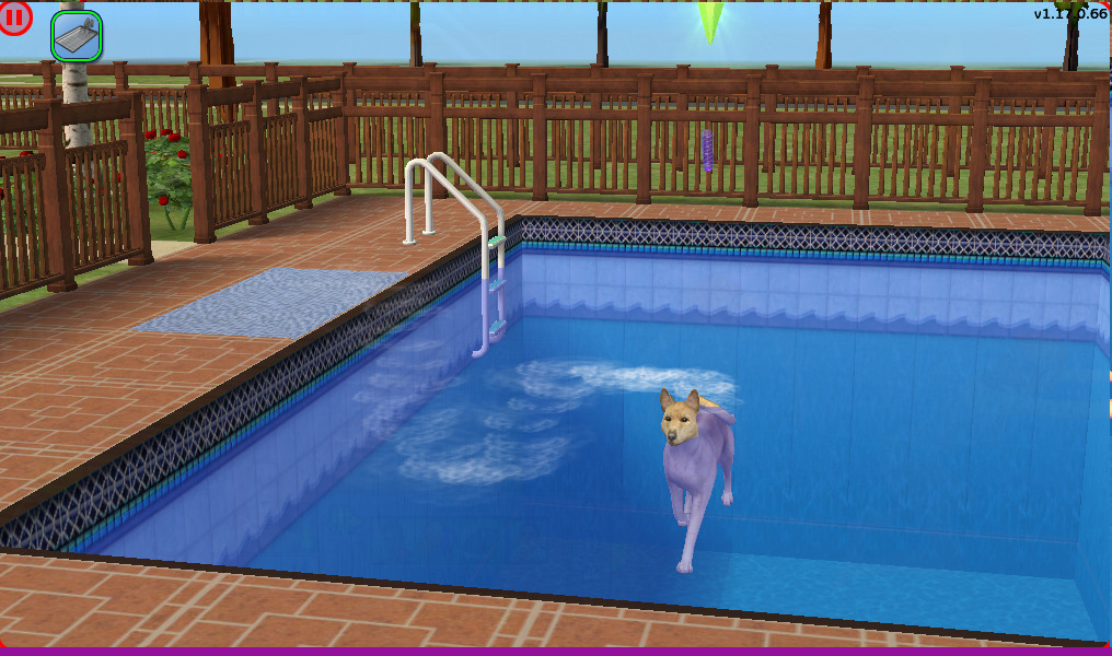 sims 2 adoption pool