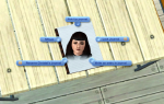 Mod The Sims - The Journal Mod