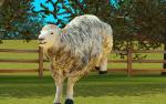Mod The Sims - Functional Sheep (Look! A living sheep!) V1.2