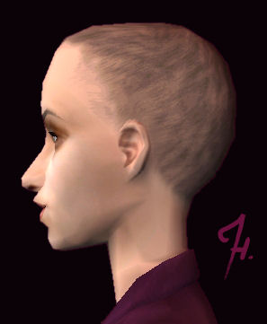 Mod The Sims - Woman's Shaved head hairdo