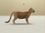 Mod The Sims - The Mountian Lion
