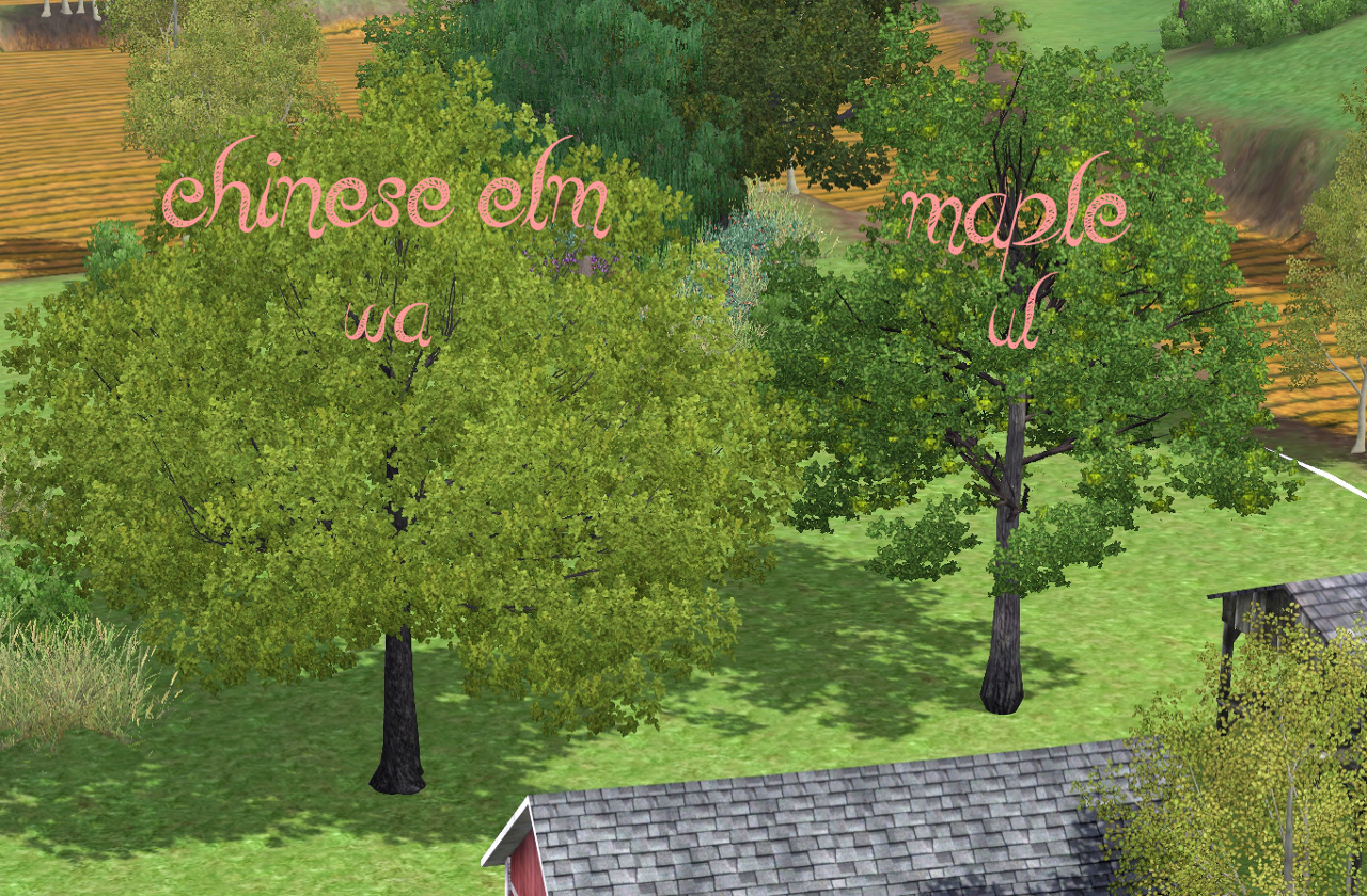 Mod The Sims - Higher trees - default replacements + non default ...
