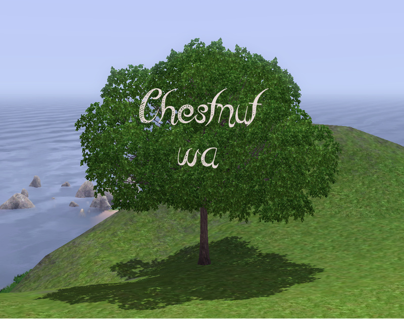 Mod The Sims - Higher trees - default replacements + non default ...