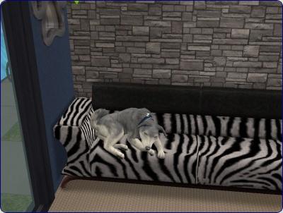 Mod The Sims - My Version of a husky