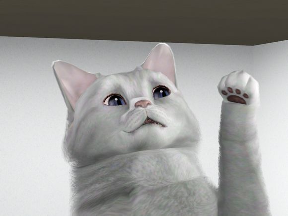 Mod The Sims - A cute cat