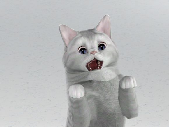 Mod The Sims - A cute cat