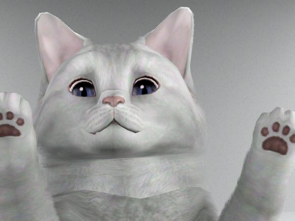 Mod The Sims - A cute cat