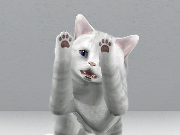 Mod The Sims - A cute cat