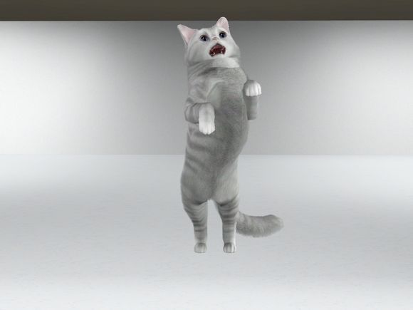 Mod The Sims - A cute cat
