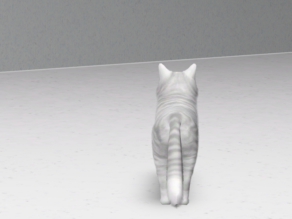 Mod The Sims - A cute cat