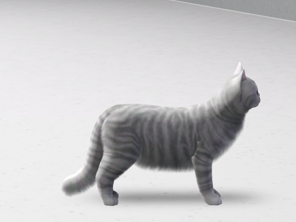 Mod The Sims - A cute cat