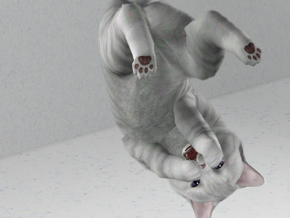 Mod The Sims - A cute cat
