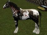 Mod The Sims - Necromancy The Horse