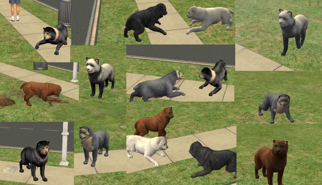 Mod The Sims - Bears