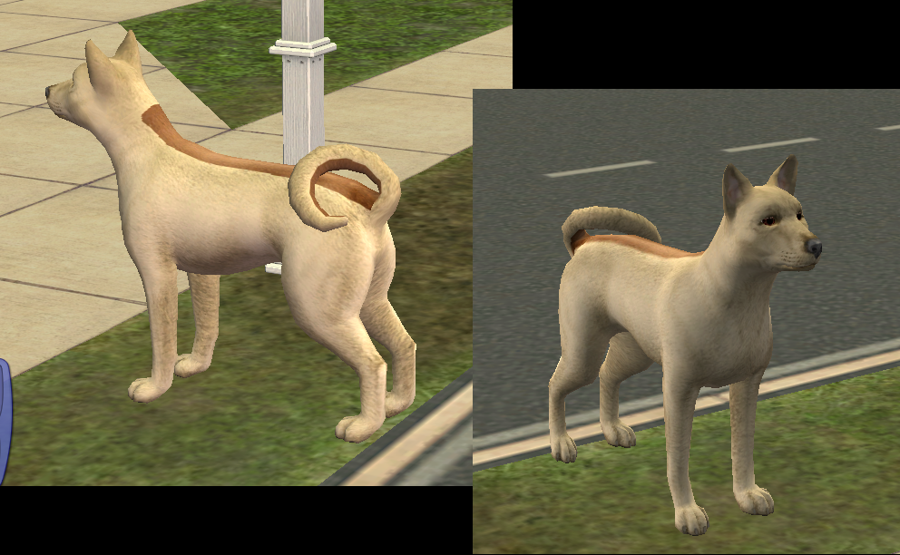 Mod The Sims - Dorsal Stripe marking for Dogs