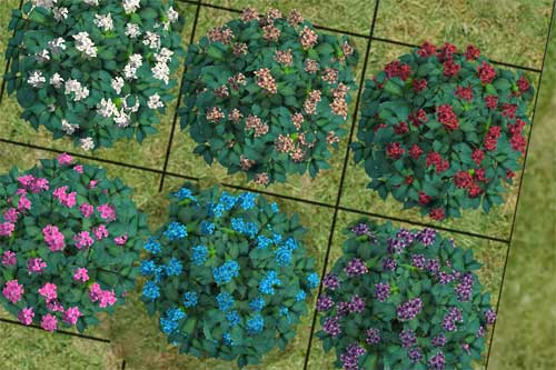 Mod The Sims - Testers Welcome! All new hydrangeas!!!!