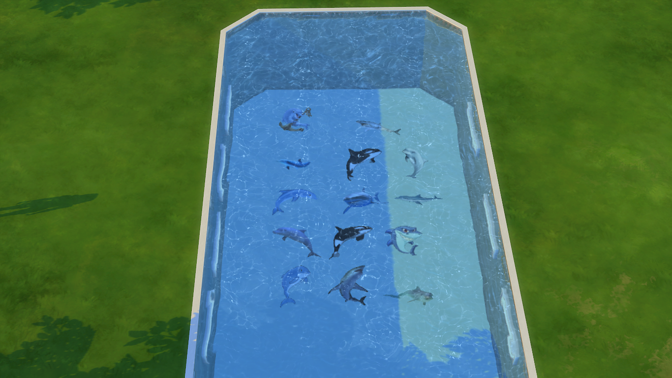 shallow pool sims 4
