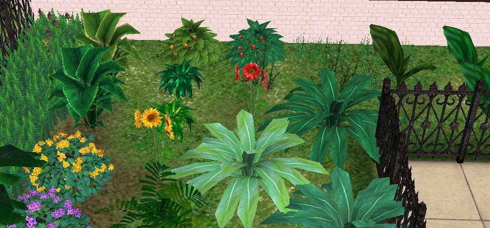 Mod The Sims - Leafy Flower Plant, Pampas, Swiss Philidendron, Fishbone ...