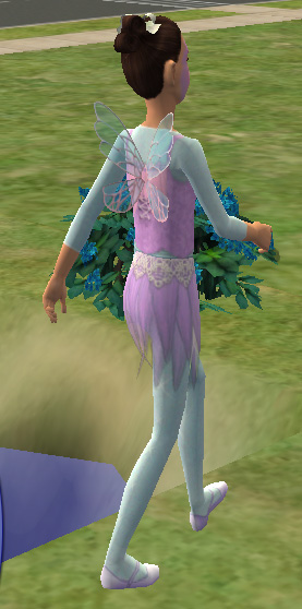 Mod The Sims - Fairy Princess Costume