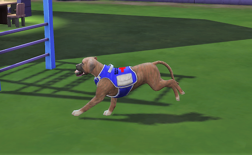 Mod The Sims - Service Dog Vests for Large Dogs