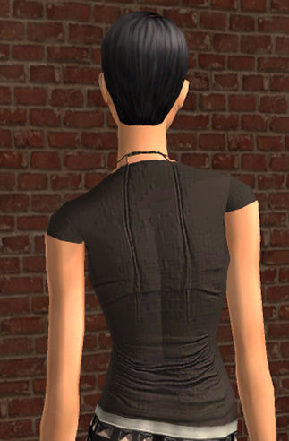 Mod The Sims - 3 things for your ladys